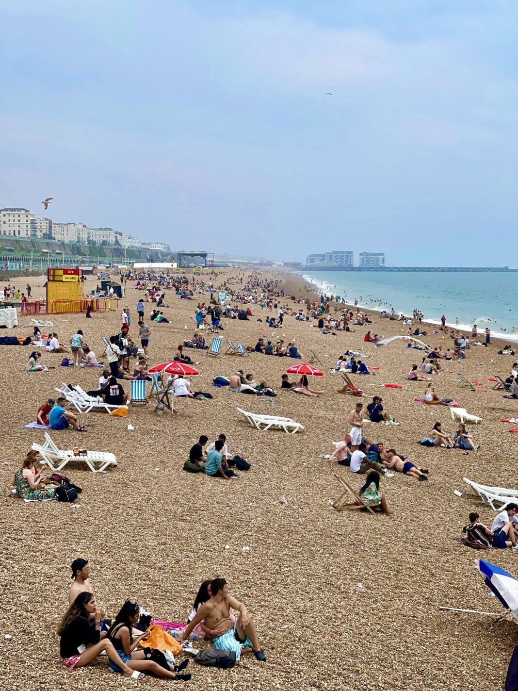 99 Facts about Brighton Everyone Should Know - Megri UK